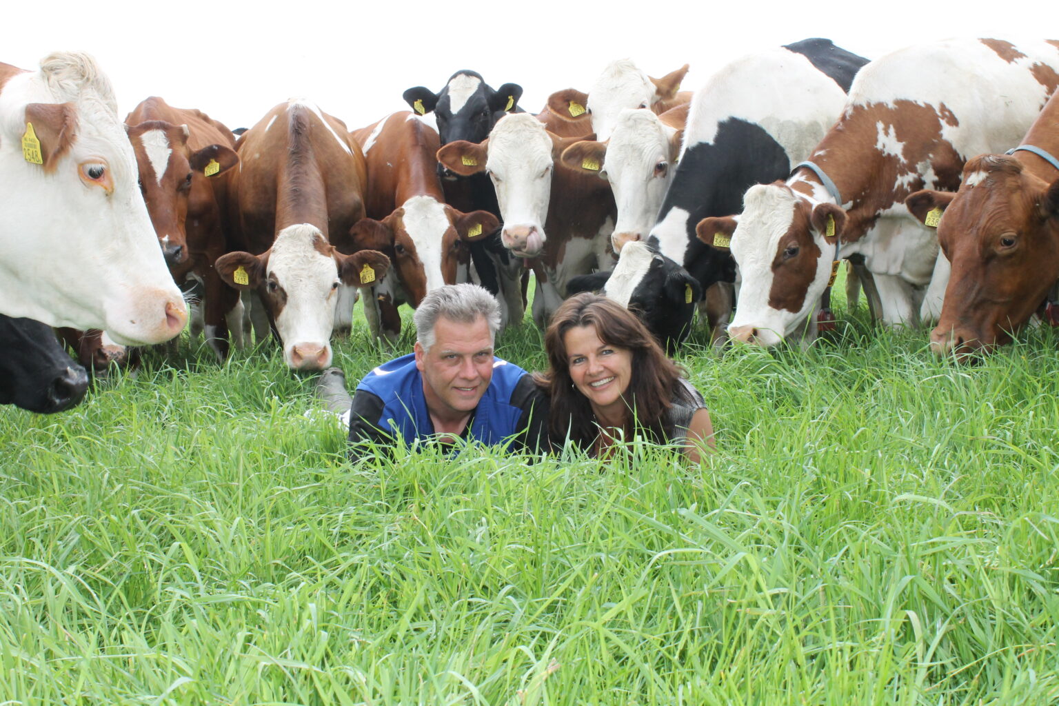 Andre Hoeve - Melkveehouderij & Zorgboerderij