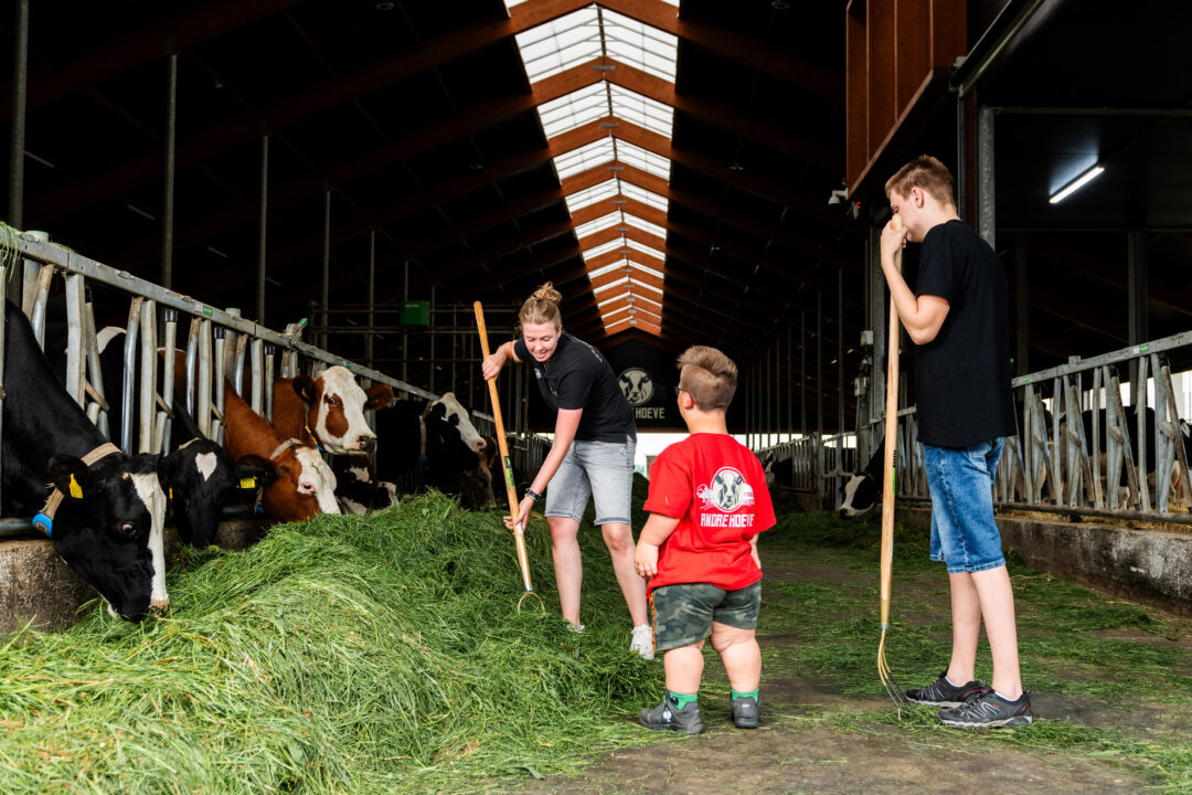 Andre Hoeve - Melkveehouderij & Zorgboerderij